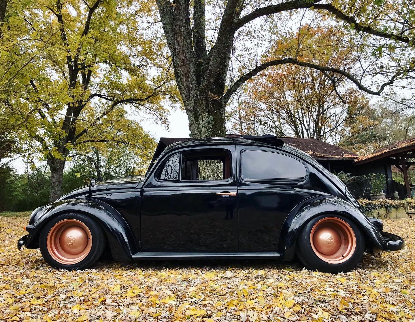 Murdered Out Black | Tamco Paint Products